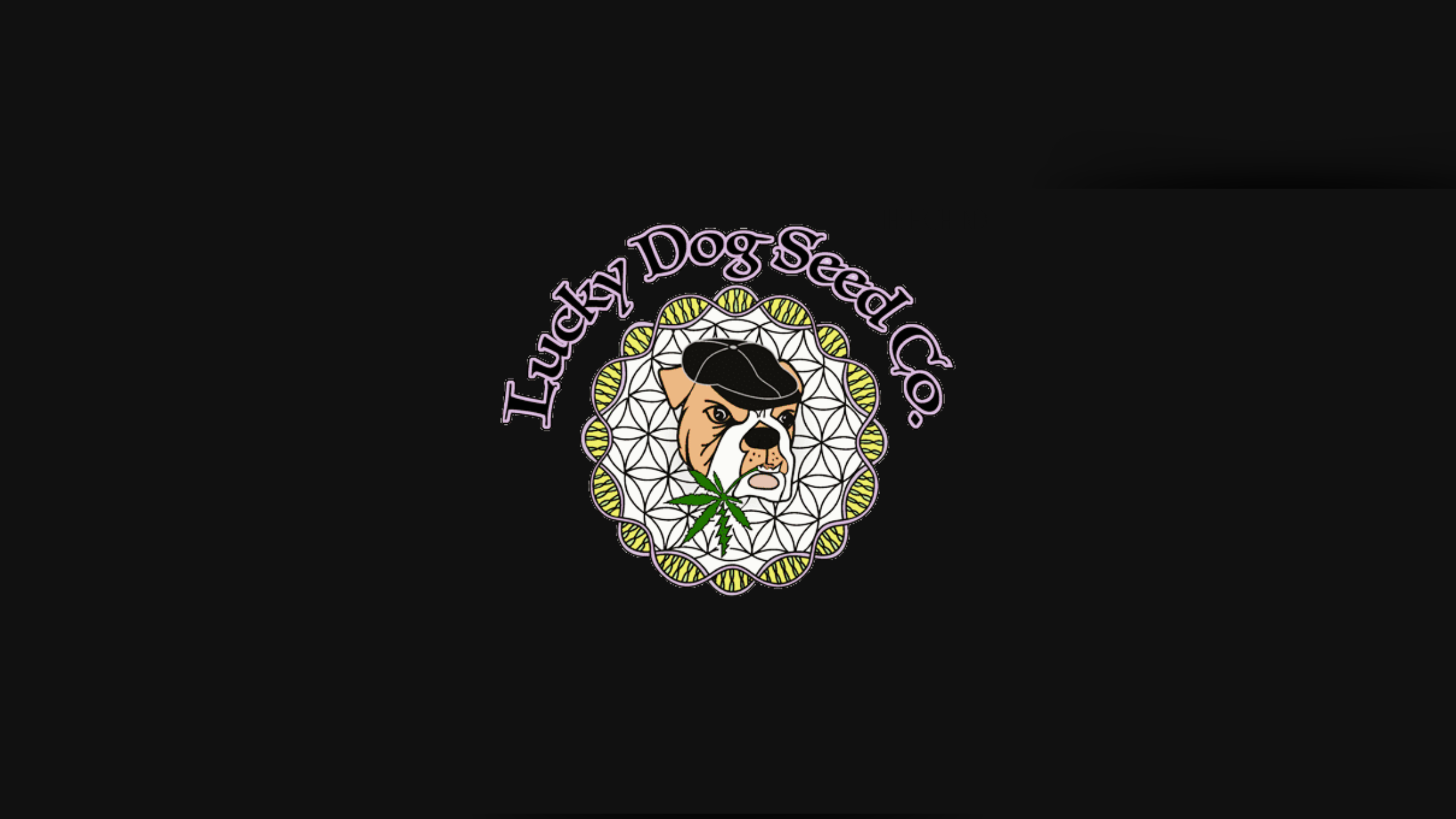 Lucky Dog Seed Co & Skunk VA: The Legacy of a Chemdog Pioneer