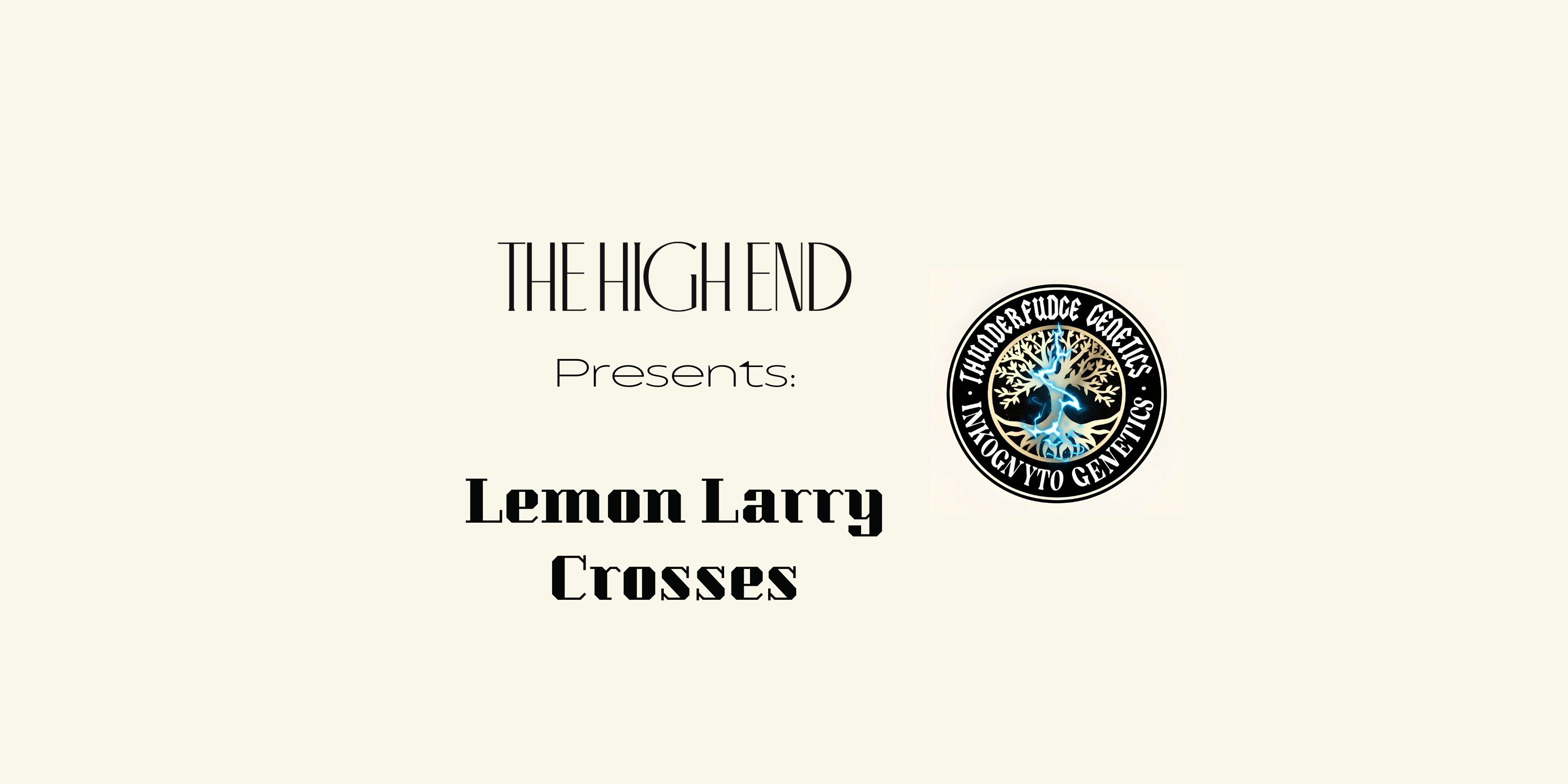 Lemon Larry: From Forum Legend to 2025 Revival