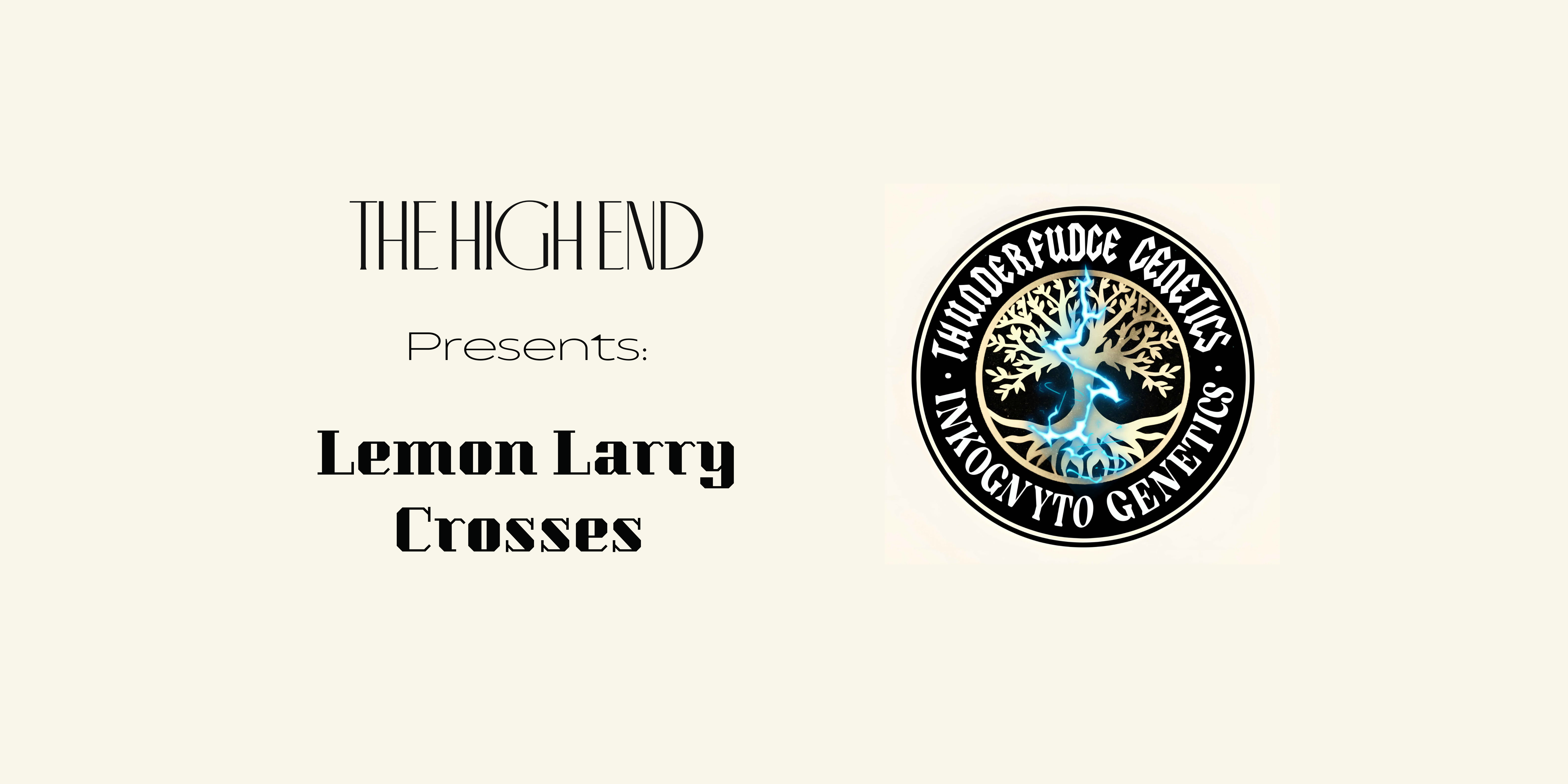 Thunderfudge x Inkognyto - Lemon Larry Collab