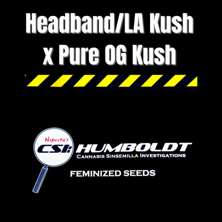 The High End Seed Co. :: Cannabis Connoisseur Seed Bank